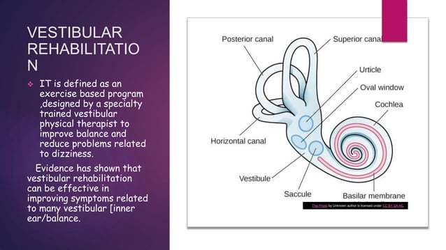 vestibular rehabilitation in elderly people with BPPV | PPT