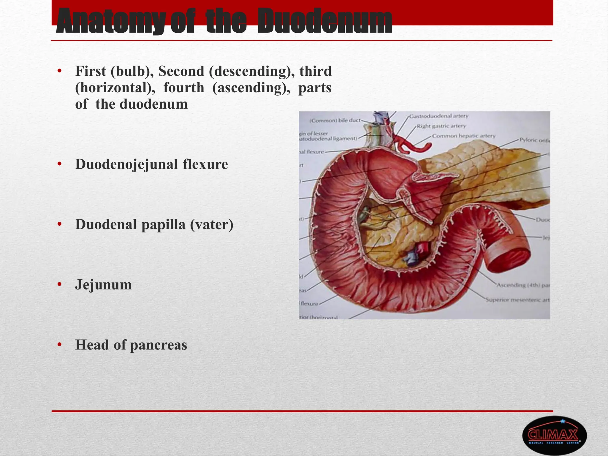 Presentation on flouroscopy (barium).pdf