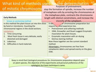 Preparation of Mitotic Chromosomes in Plants | PDF