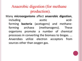 Application of microbes and microbial processes in food and healthcare ...