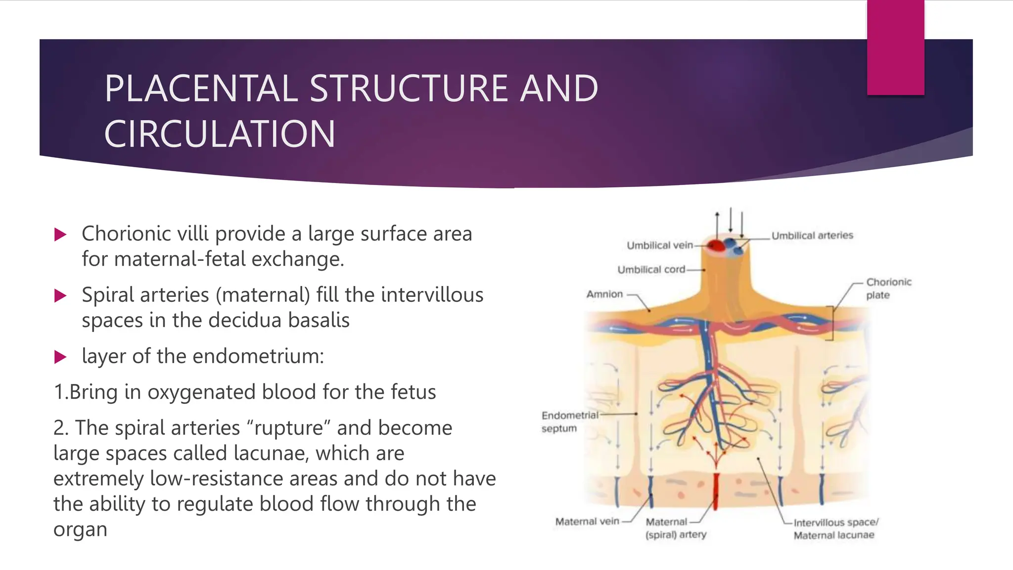 Presentation (19).pptx.................. | PPTX