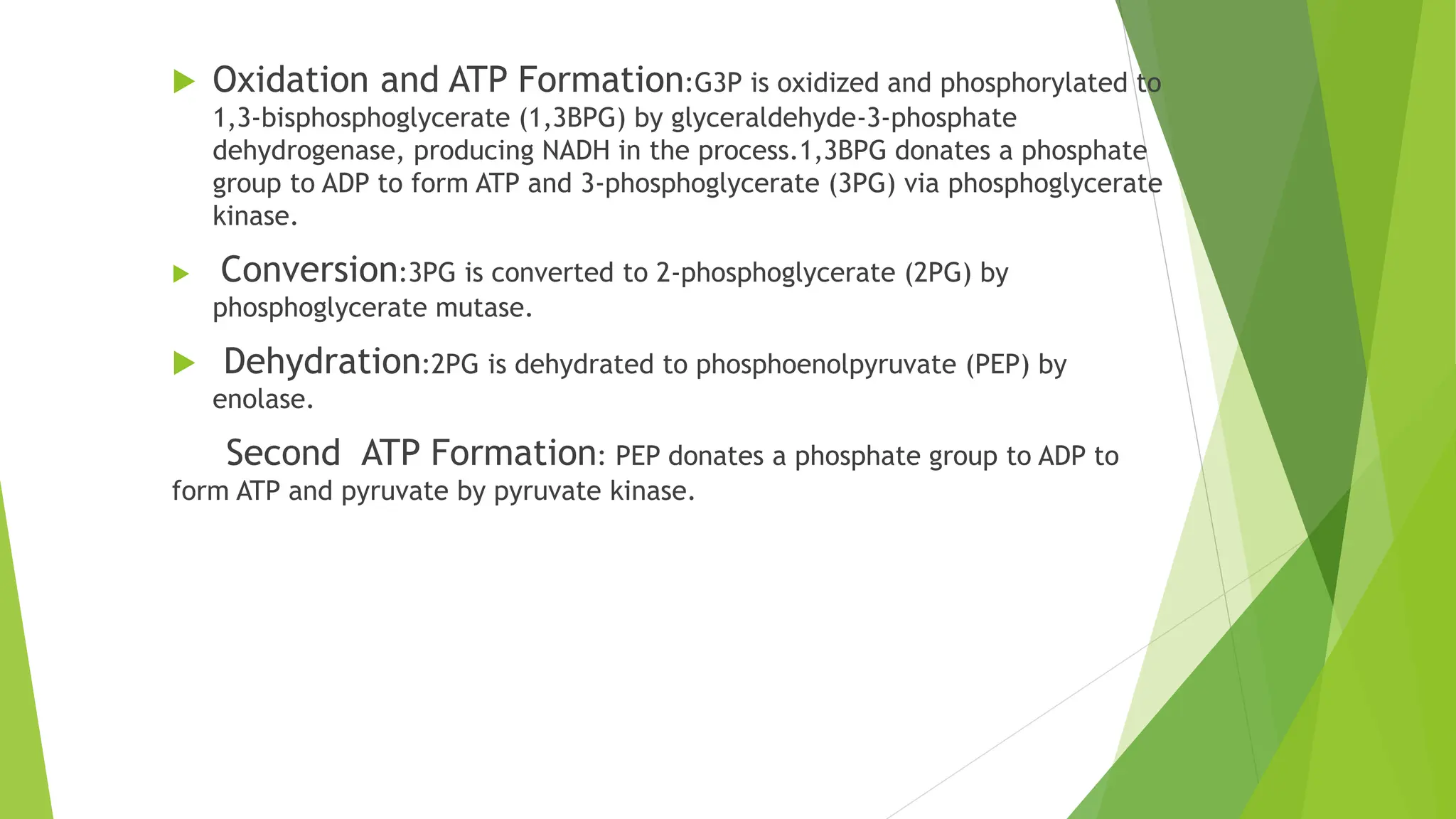 Glycolysis , Steps of glycolysis , Rate limiting steps of glycolysis | PPTX