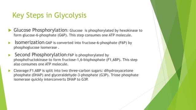 Glycolysis , Steps of glycolysis , Rate limiting steps of glycolysis ...