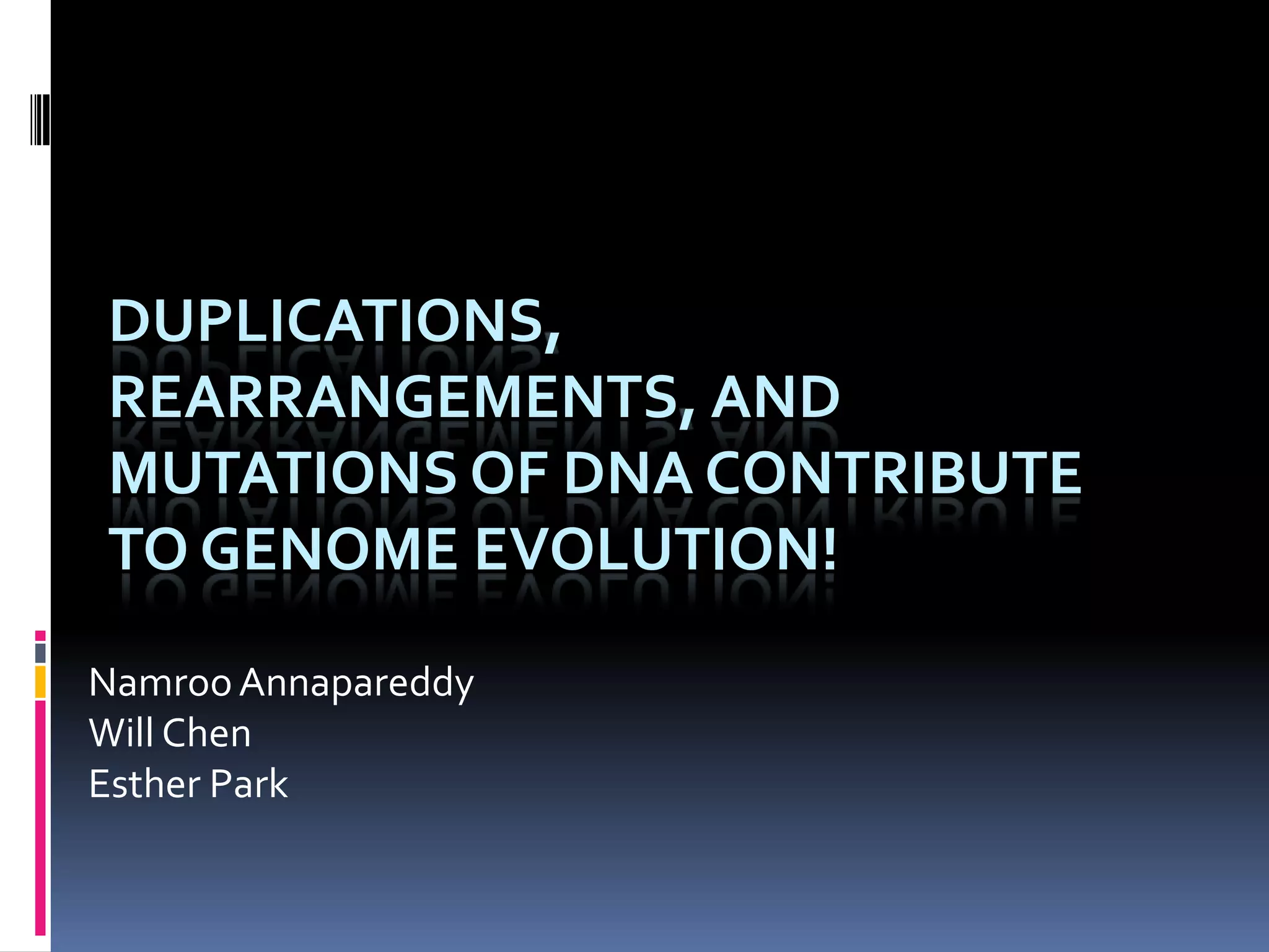 Presentation19.5 | PPT | Free Download