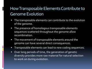 Presentation19.5 | PPT | Free Download