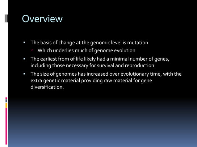 Presentation19.5 | PPT | Free Download