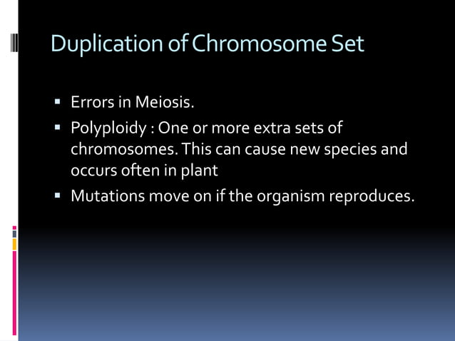 Presentation19.5 | PPT | Free Download