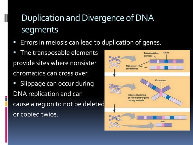 Presentation19.5 | PPT | Free Download
