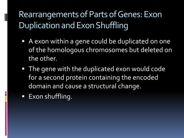 Presentation19.5 | PPT | Free Download