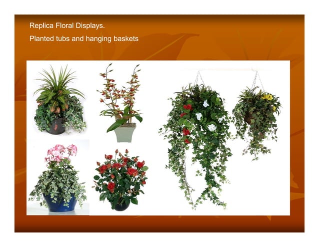 Plants at Work, Office Landscaping, tropical plants, replica plants | PPT