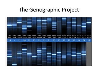 PresentationSSAA | PPT
