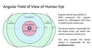 Peripheral Vision: A New Killer App for Smart Glasses | PDF | Eye and ...