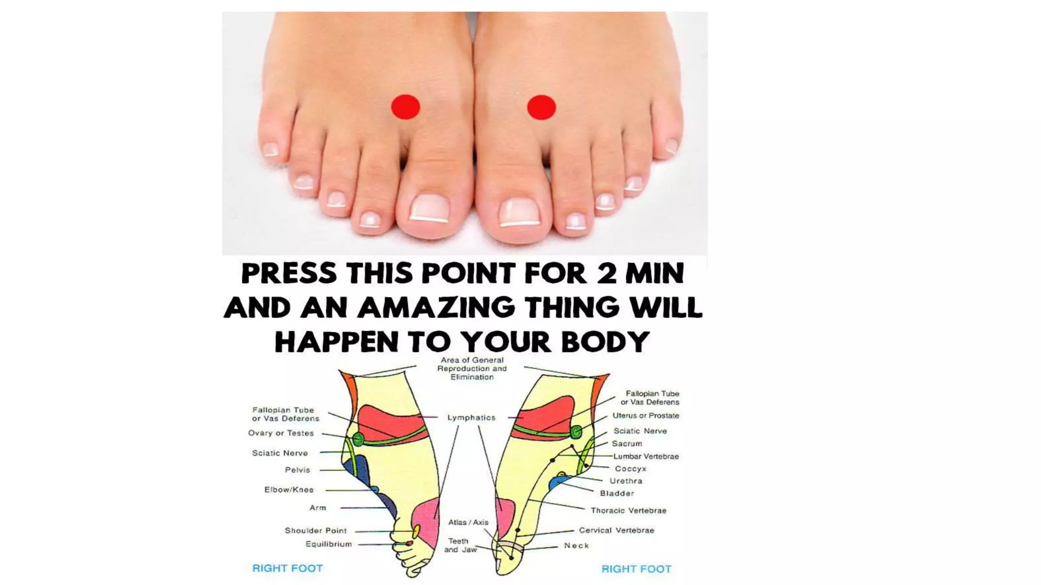 Your Health is in Your Hand | PPTX