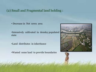 Presentation1 agrii | PPTX