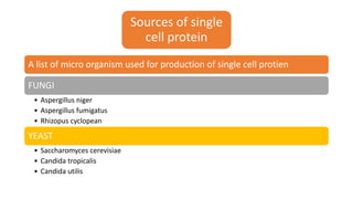 SINGLE CELL PROTEIN | PPT