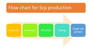 SINGLE CELL PROTEIN | PPTX