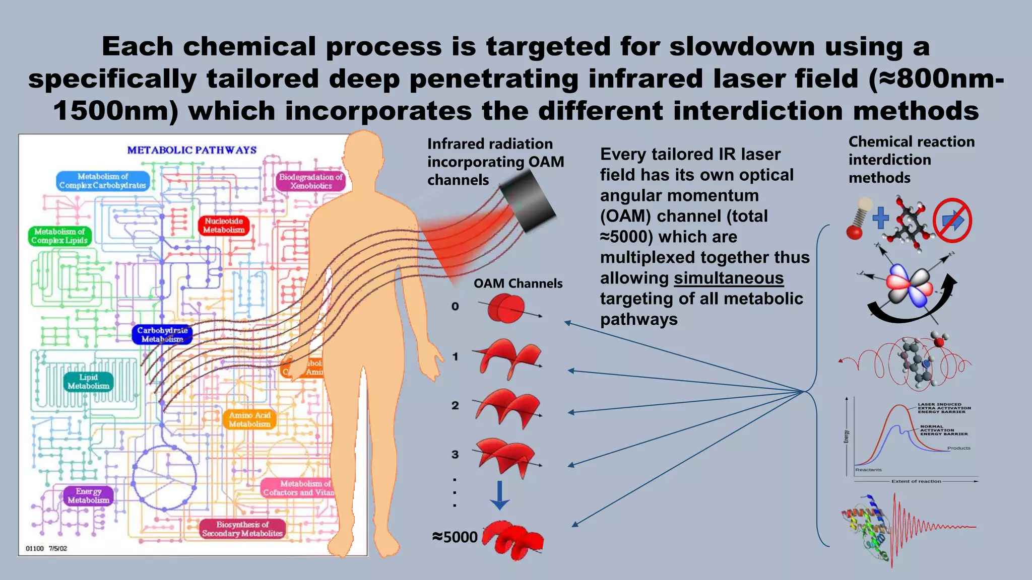Human Suspended Animation | PPTX