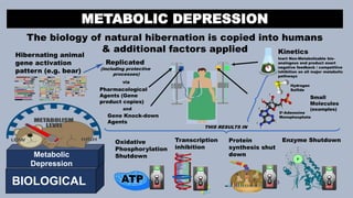 Human Suspended Animation | PPTX