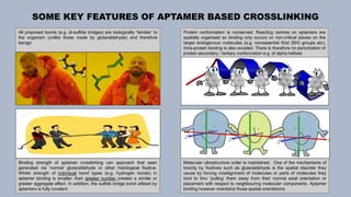 Human Suspended Animation | PPTX