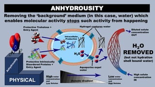 Human Suspended Animation | PPTX