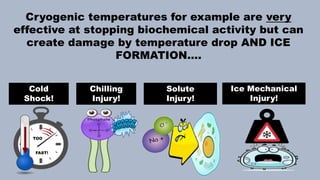 Human Suspended Animation | PPTX