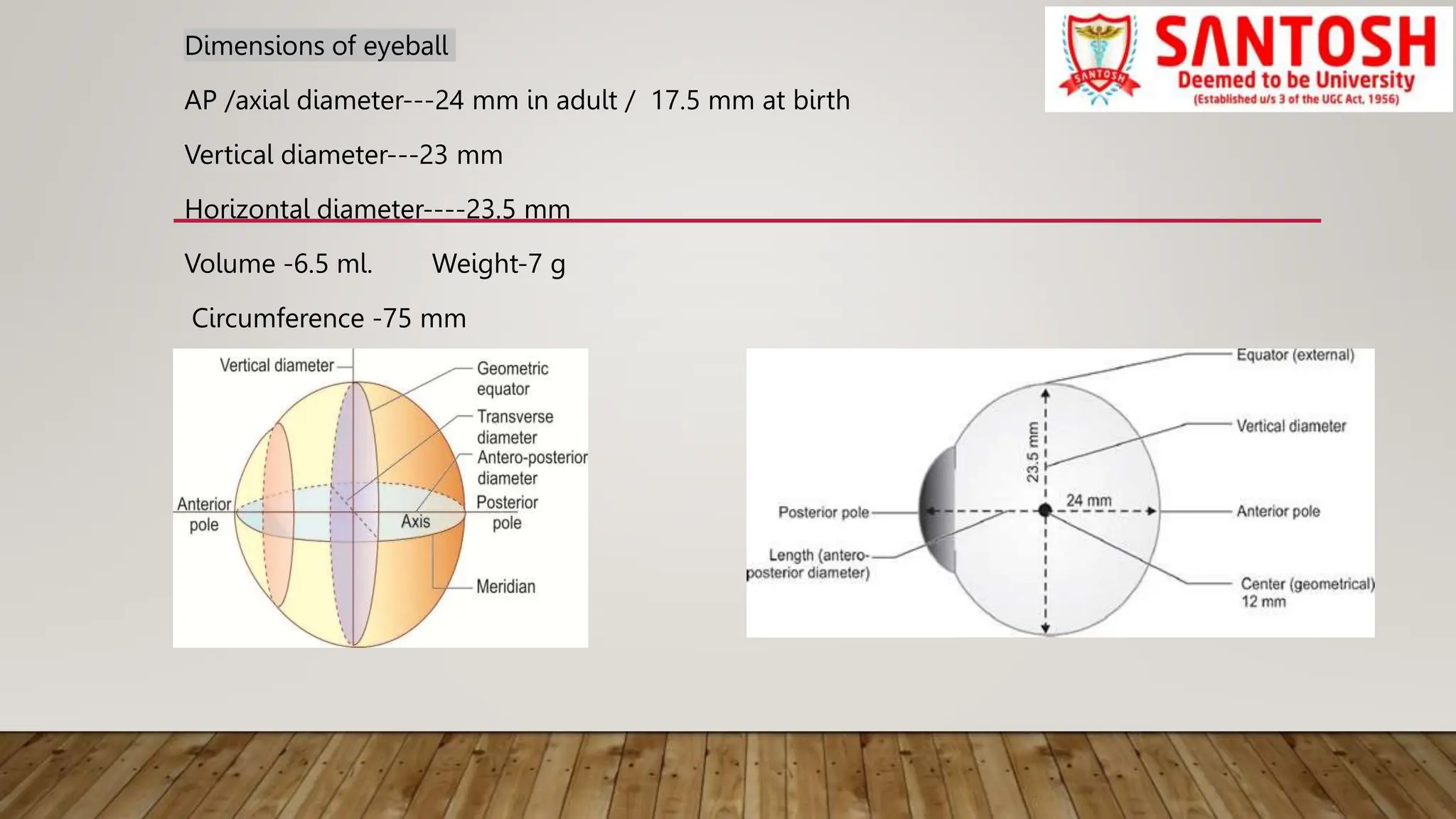 Presentation1 anatomy, eyeball.pptx