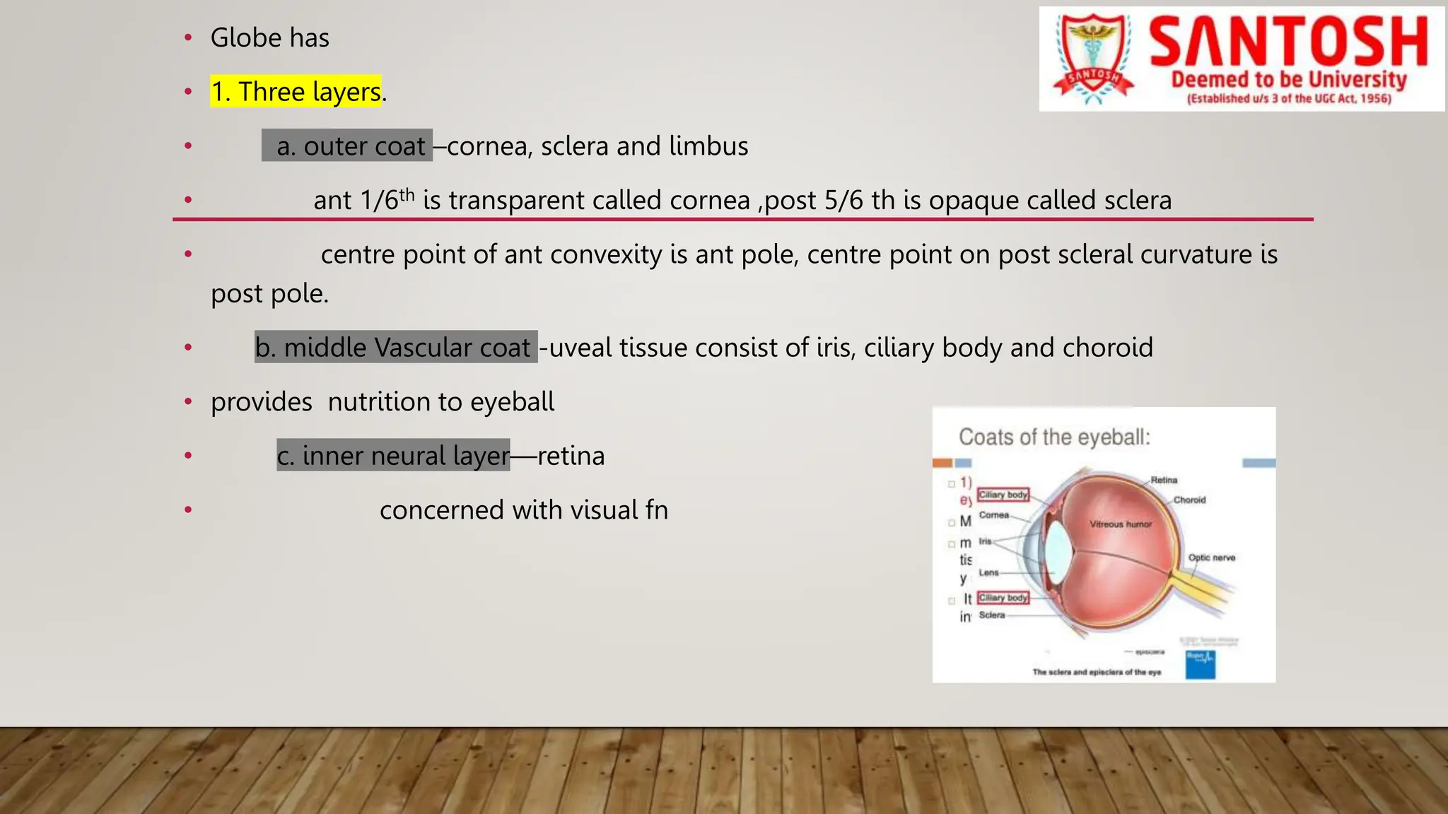Presentation1 anatomy, eyeball.pptx