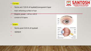 Presentation1 anatomy, eyeball.pptx