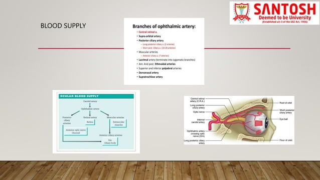 Presentation1 anatomy, eyeball.pptx