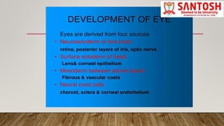 Presentation1 anatomy, eyeball.pptx