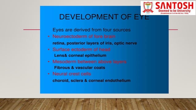 Presentation1 anatomy, eyeball.pptx
