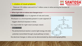 Presentation1 anatomy, eyeball.pptx