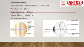Presentation1 anatomy, eyeball.pptx