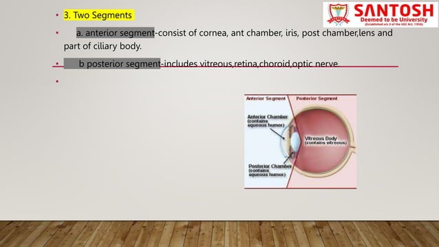 Presentation1 anatomy, eyeball.pptx