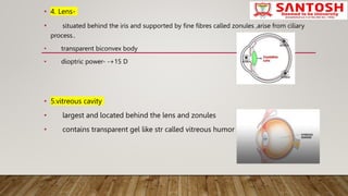 Presentation1 anatomy, eyeball.pptx