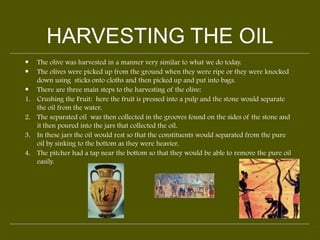 HISTORY OF OLIVE OIL IN GREECE | PPTX | Skin Care | Beauty