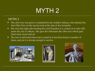 HISTORY OF OLIVE OIL IN GREECE | PPTX