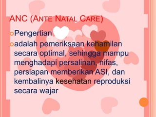 Presentation1 anc prenatal class | PPTX