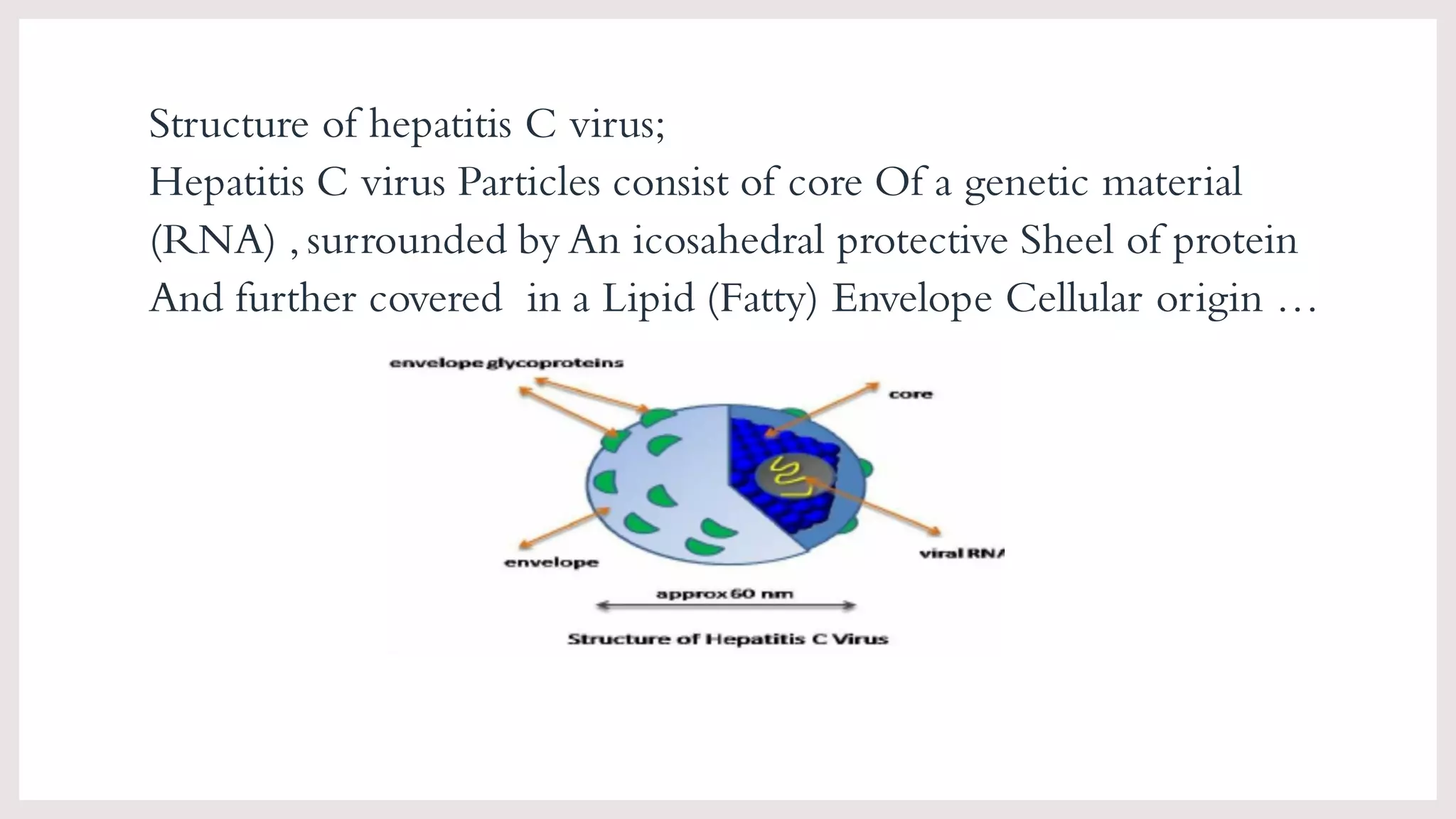 Hepatitis C virus , introduction, type ,pathogenesis, diagnosis ...