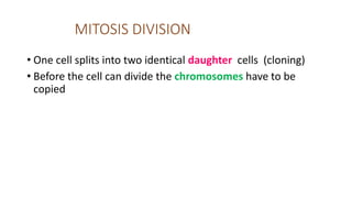 CELL DIVISION | PPTX