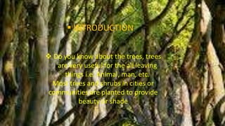 Presentation1 [autosaved] | PPTX