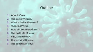 Virus | PPT