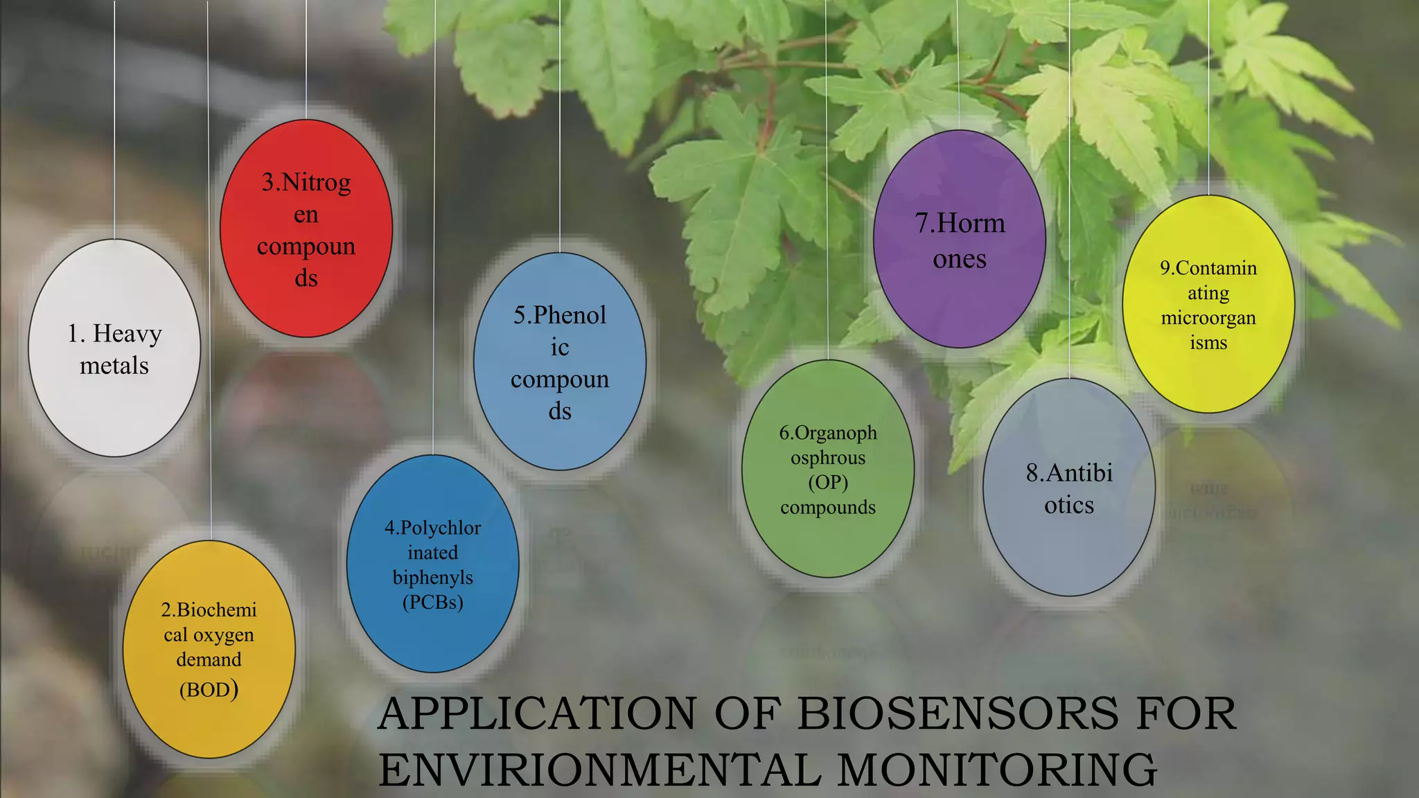 BIOSENSORS FOR ENVIRONMENTAL MONITORING | PPTX