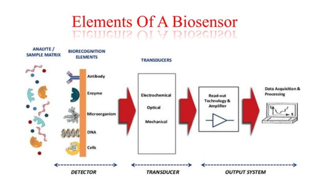 BIOSENSORS FOR ENVIRONMENTAL MONITORING | PPTX