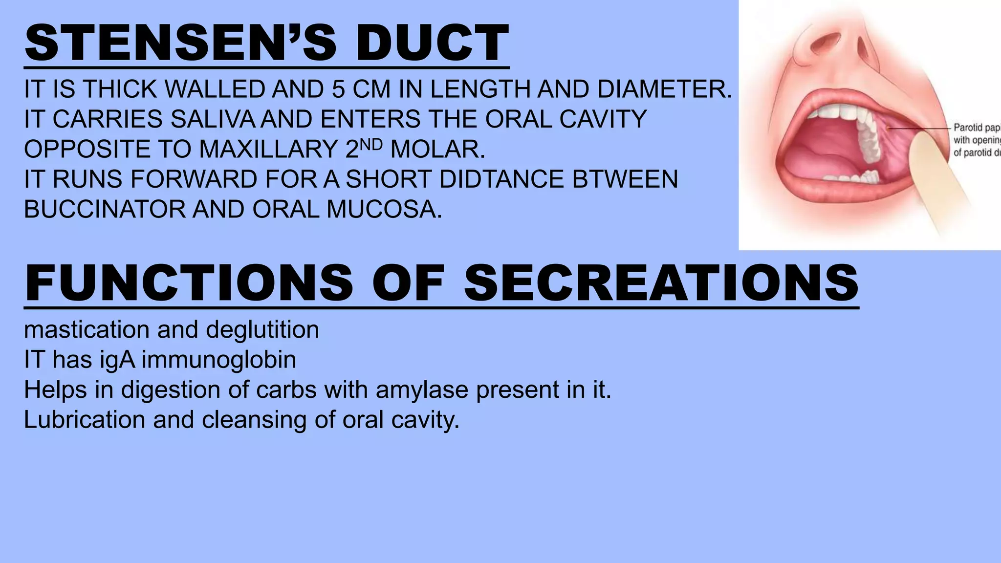 Parotid Gland | PPTX