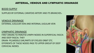 Parotid Gland | PPTX