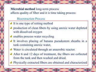 banana fiber production | PDF