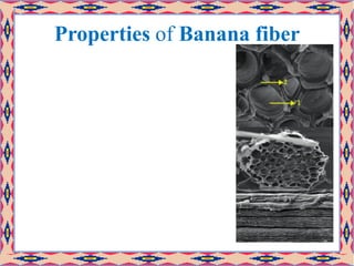 banana fiber production | PDF