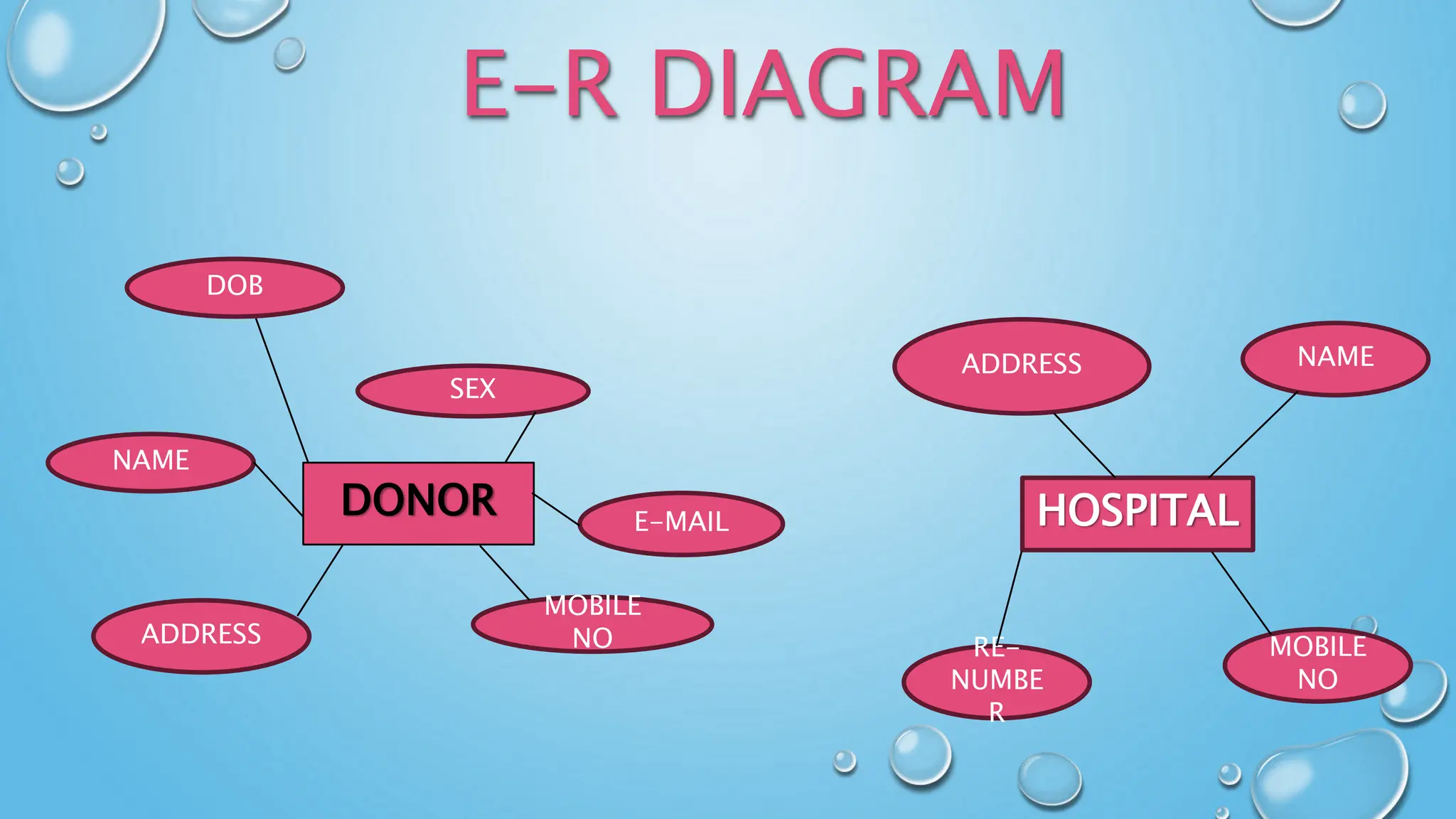 Presentation1 BBMS.pptx