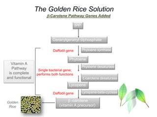 Biotechnology | PPTX